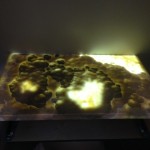 An Insider Perspective on Backlighting Translucent Surfaces